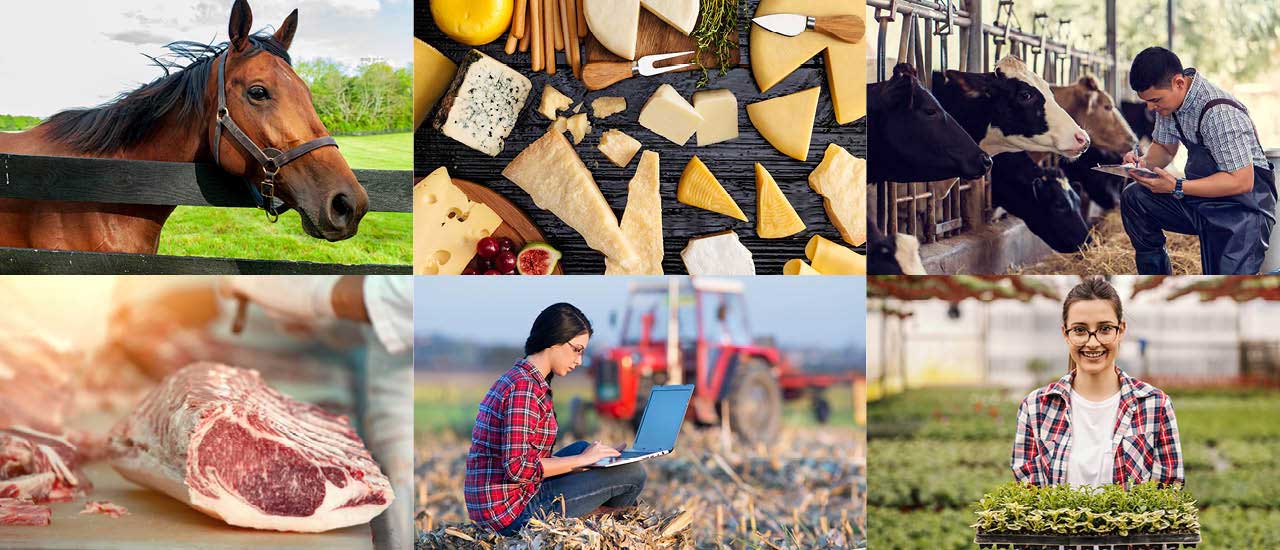 FFA Career Development Events | Mid-State Technical College